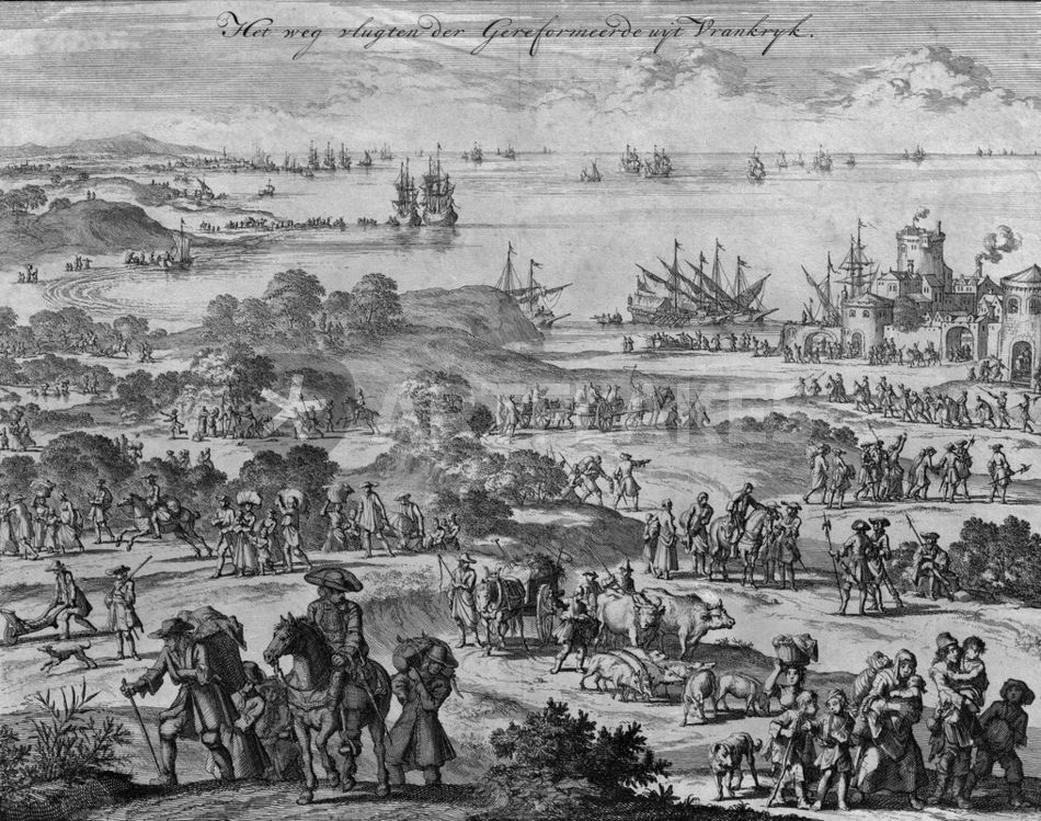 SOLIDANIM - Solidarités communautaires. Réseaux d'entraide des ...